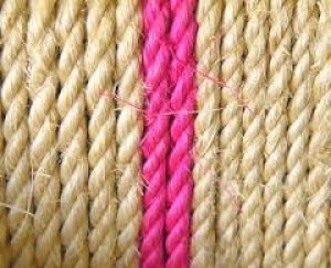 ¿Qué es destacar? Definición, concepto y significado.