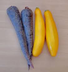 ¿Qué es variable? Definición, concepto y significado.