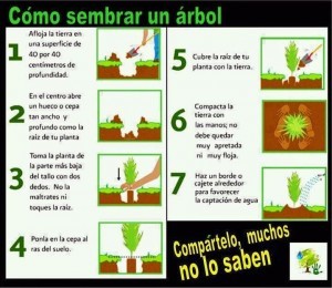 ¿Qué es instructivo? Definición, concepto y significado.