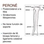¿Qué es autocatalítico? Definición, concepto y significado.